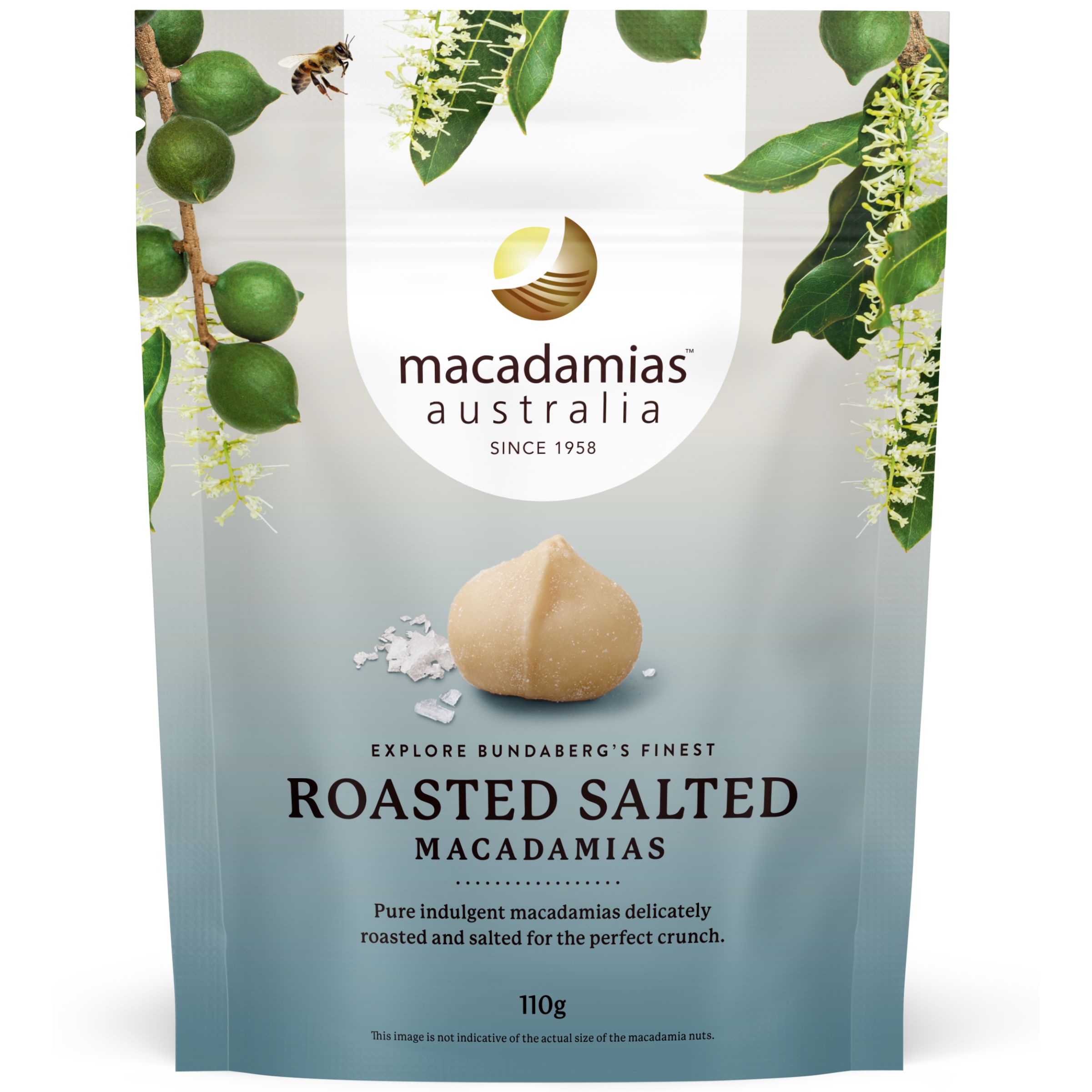 Macadamias Australia Dry Roast. Salted 110g 8/ctn - Foodies